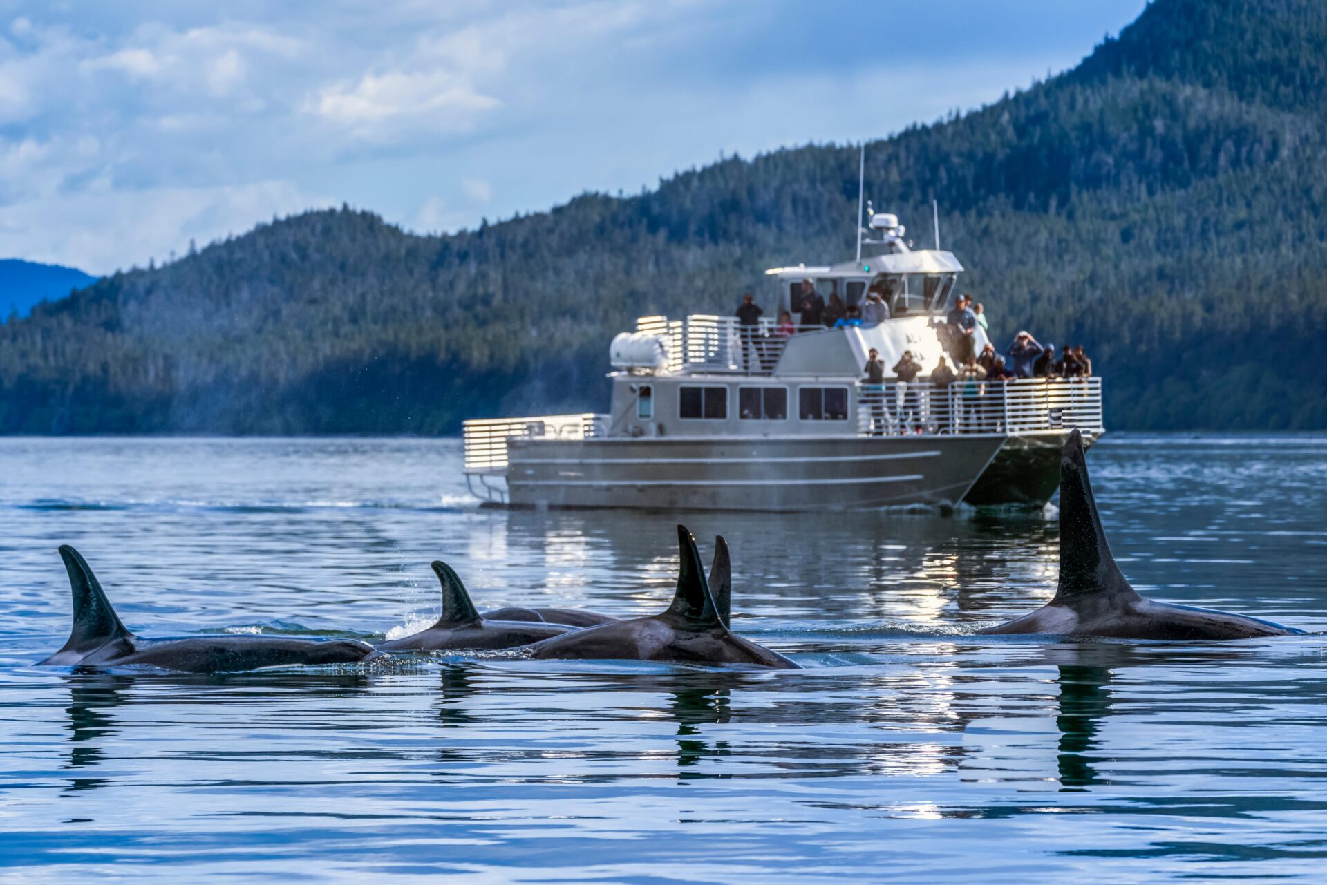 7 Razones por las que amarás un crucero de expedición en Alaska - Puros ...