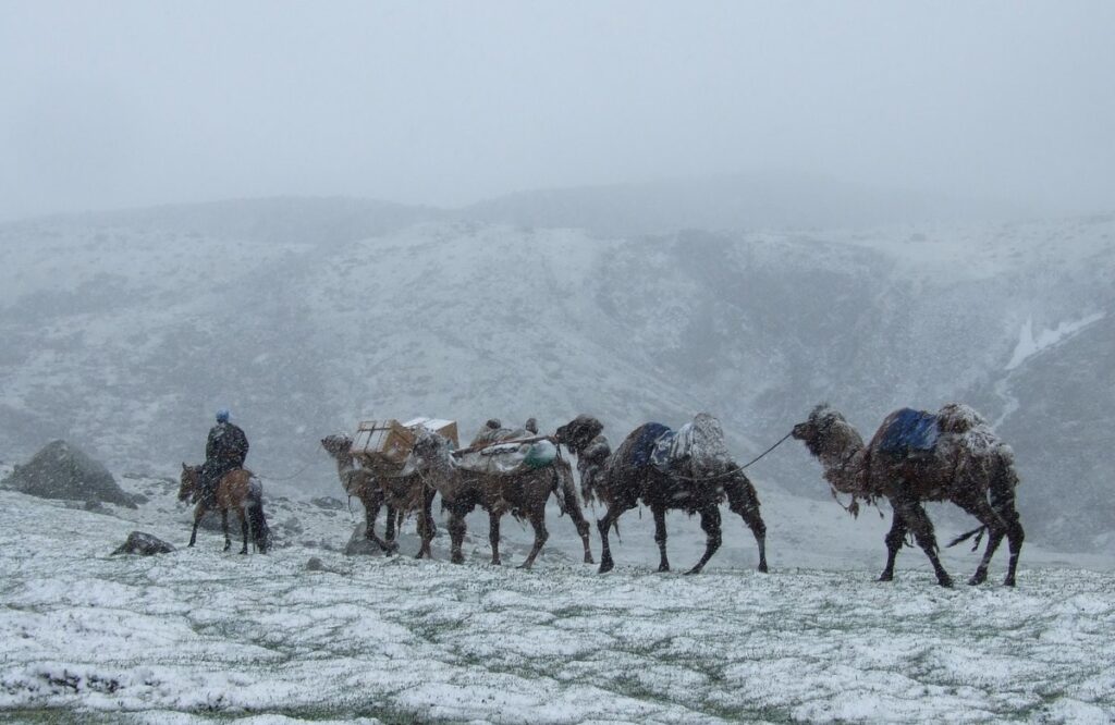 Los 5 lugares más fríos del mundo - Puros Viajes